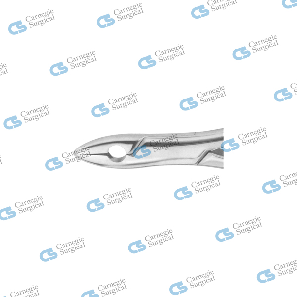 Extracting Forceps - Upper Anteriors & Premolars - Carnegie Surgical LLC
