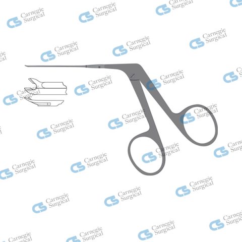 FISCH Crurotomy Scissors - Carnegie Surgical LLC