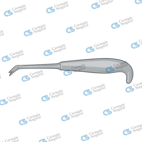HARGIS Anterior Border Stripper - Carnegie Surgical LLC